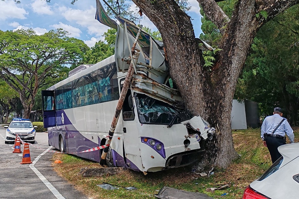 bus1.jpeg